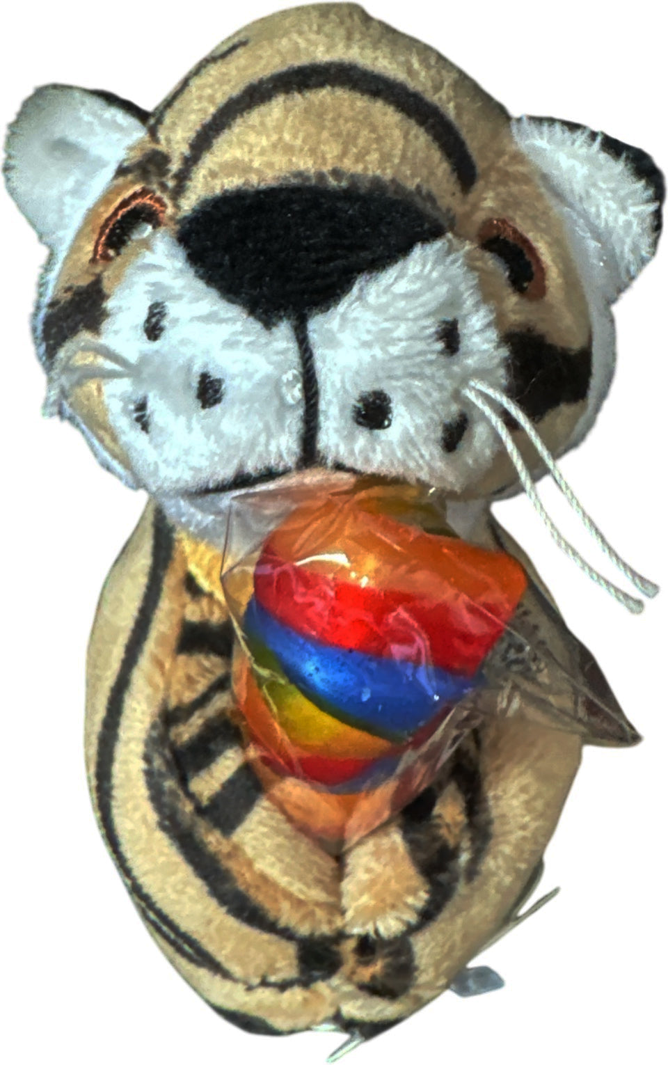 5" Tiger on Candy Pop – lionstigersandbearssanctuary